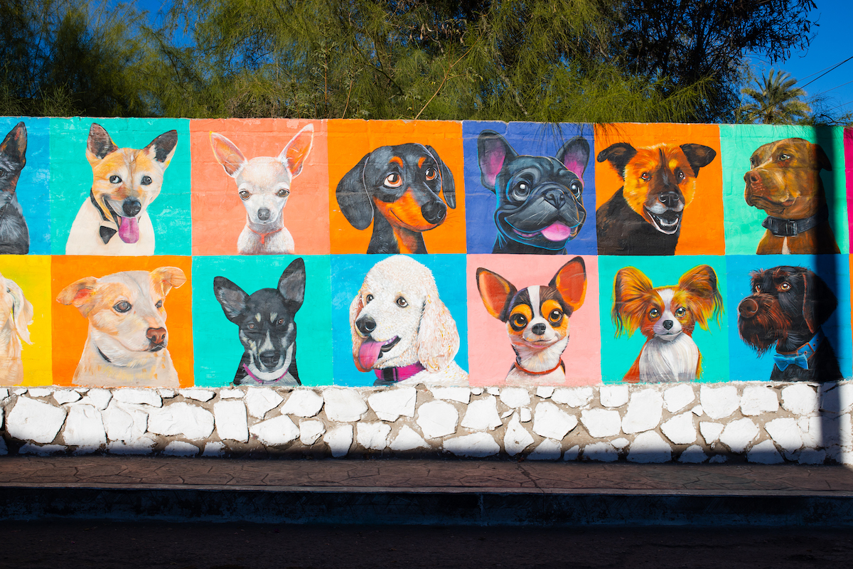 Mulege Mexico: Your Guide to Baja's Hidden Gem
