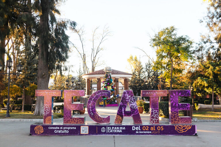 10 Awesome Things To Do in Tecate by a frequent traveler