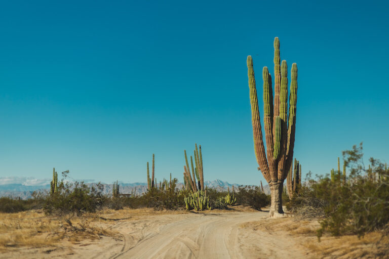 Is Baja California Sur safe?