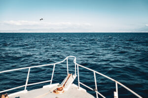 Is Ensenada safe? (2026)