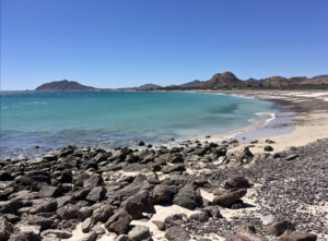 Cabo in March: Weather, things to do and events (2025)