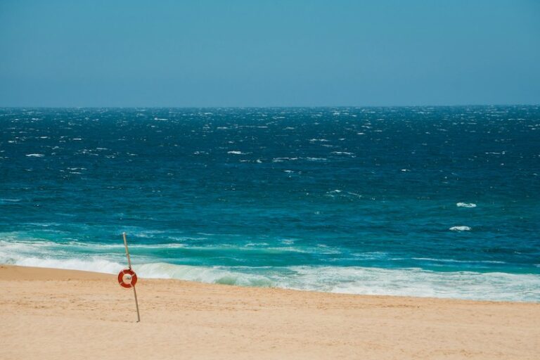 Cabo in December – Weather, things to do, and travel tips (2025)